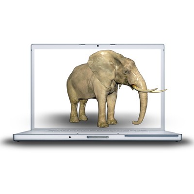 You Can’t Ignore the Elephant in the Server Room - Managed IT Force ...